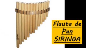 Musicocracia - Visión global de la música