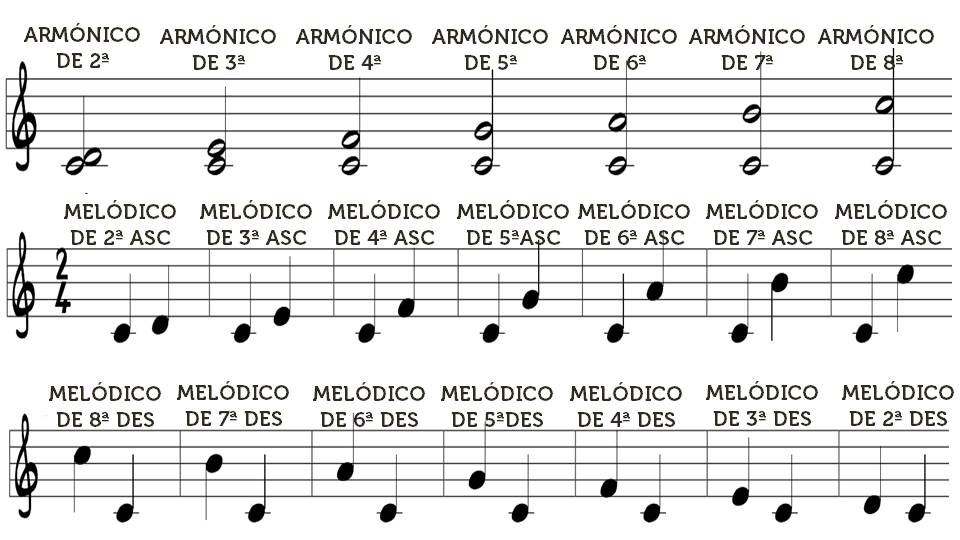 Musicocracia - Visión global de la música