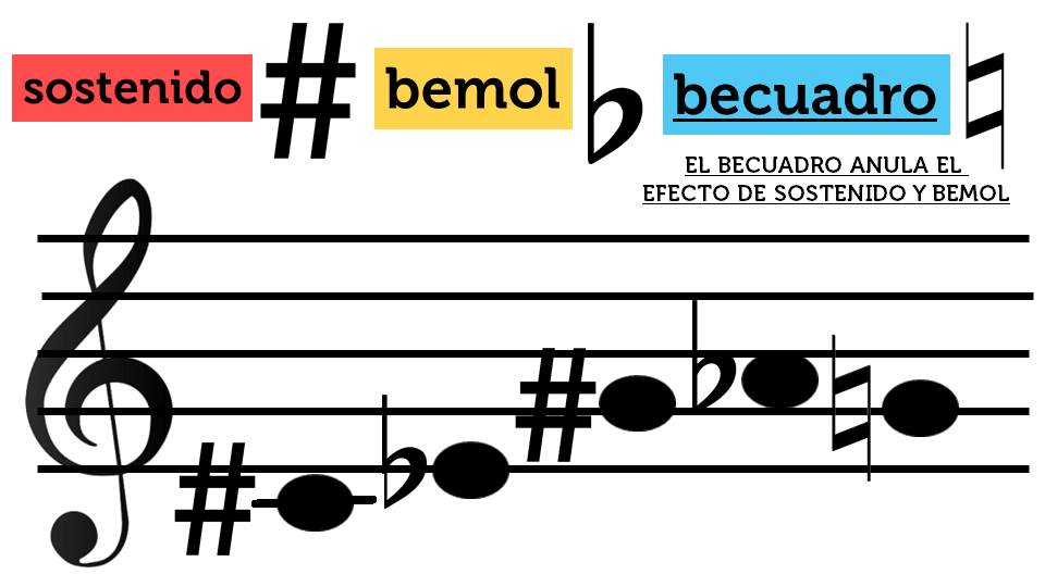 Musicocracia - Visión global de la música